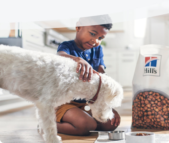 Hill's Vet Shop - Make your recommendations a reality!
